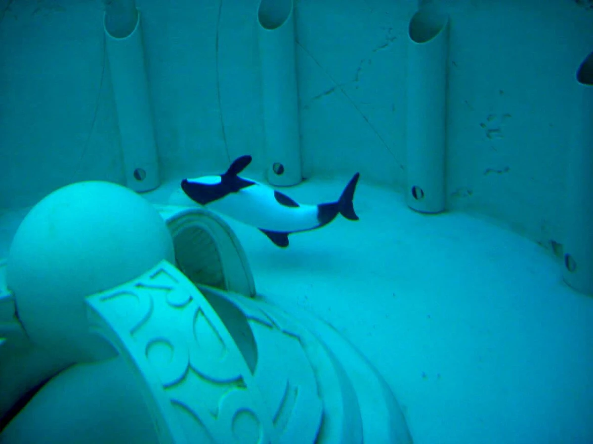 Commerson's Dolphin | FictionRulezForever Wiki | Fandom