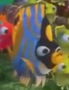 Emperor Angelfish | FictionRulezForever Wiki | Fandom