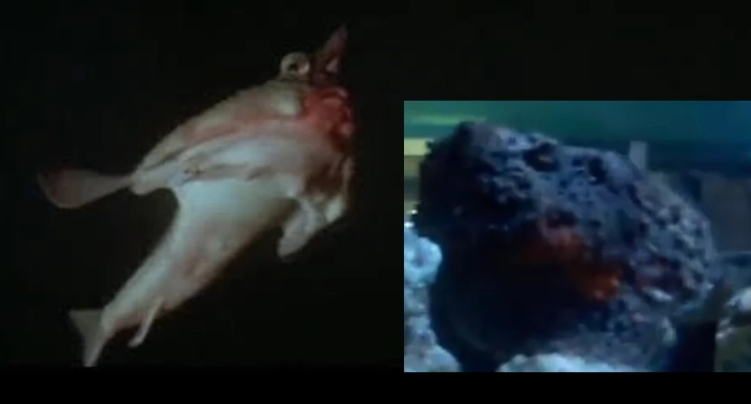 Batfish (Atlantis 1991) and her Seabed Animal's Friends ...
