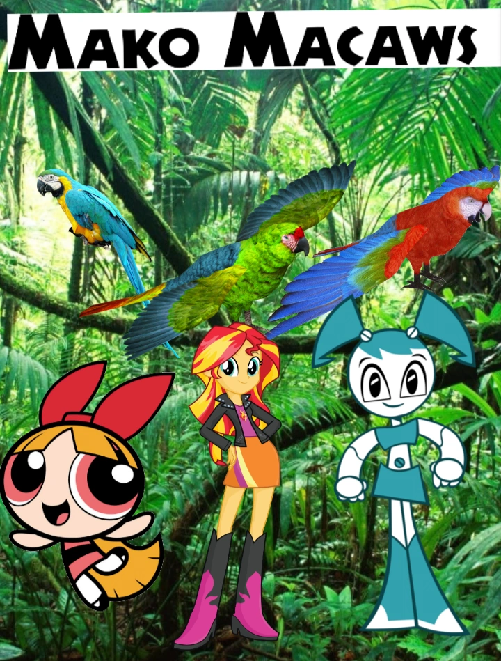 Mako Macaws | FictionRulezForever Wiki | Fandom