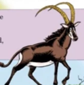 Sable Antelope | FictionRulezForever Wiki | Fandom