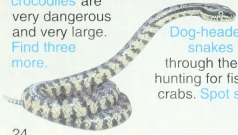 Dog-Faced Water Snake | FictionRulezForever Wiki | Fandom