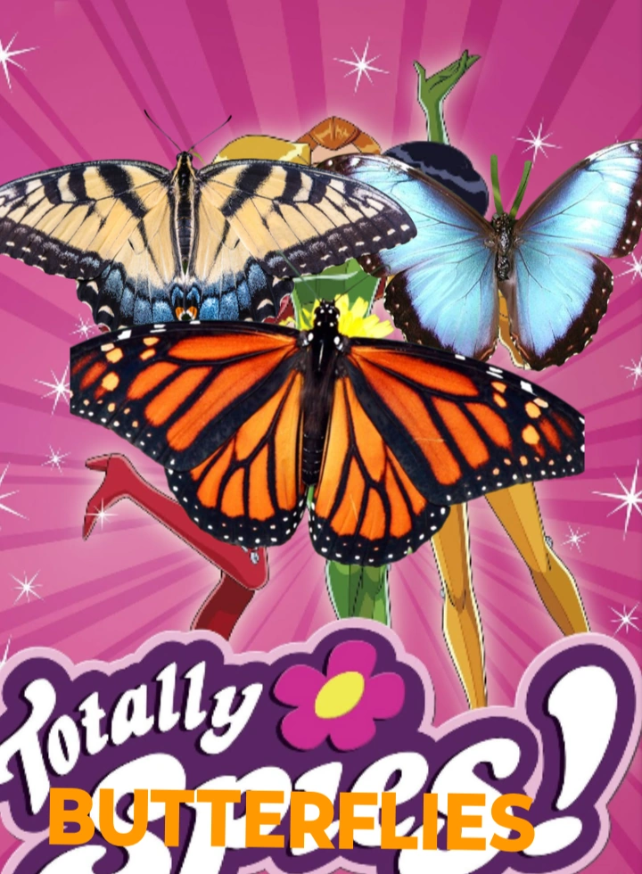 Totally Butterflies | FictionRulezForever Wiki | Fandom