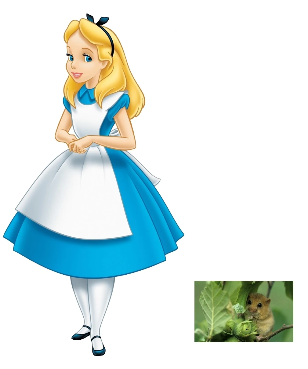 Alice and her European Animal Friends | FictionRulezForever Wiki | Fandom