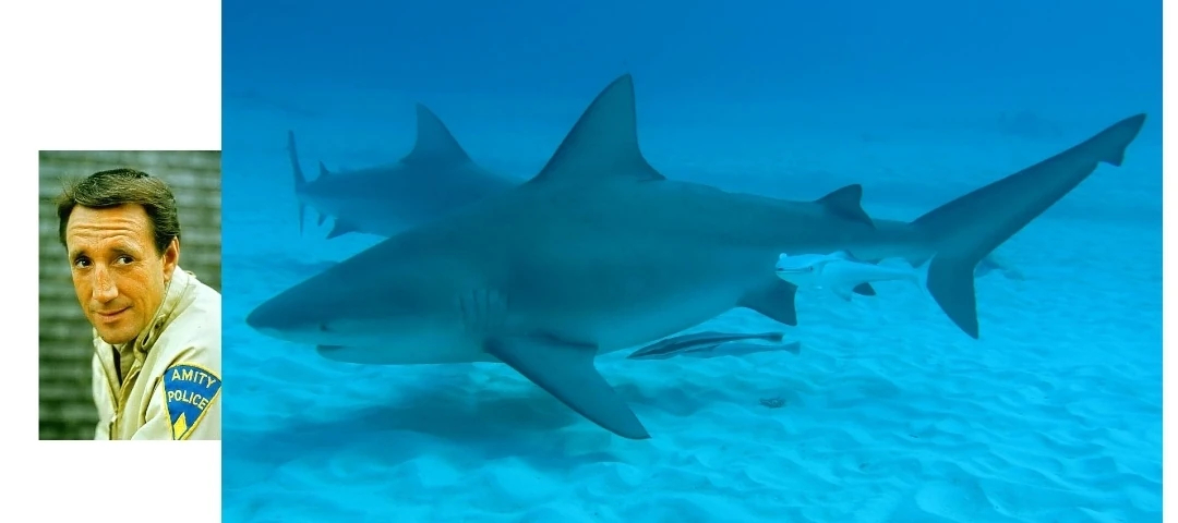 Martin Brody and his Shark Friends | FictionRulezForever Wiki | Fandom