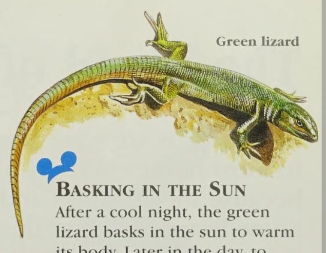 European Green Lizard | FictionRulezForever Wiki | Fandom