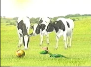 Cattle/Gallery | FictionRulezForever Wiki | Fandom