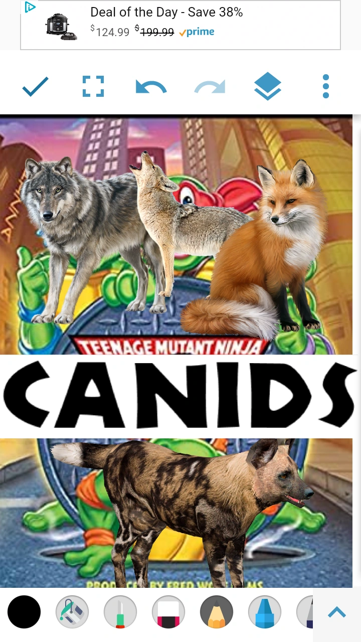Teenage Mutant Ninja Canids | FictionRulezForever Wiki | Fandom