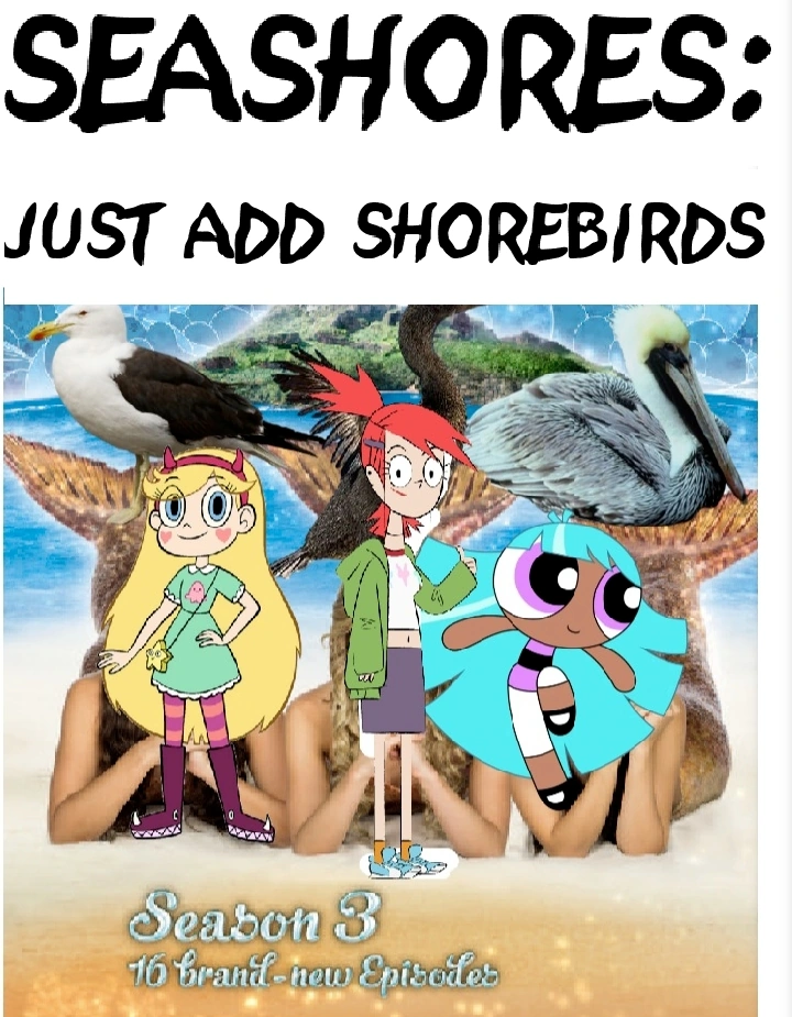 Seashores Just Add Birds Fictionrulezforever Wiki Fandom