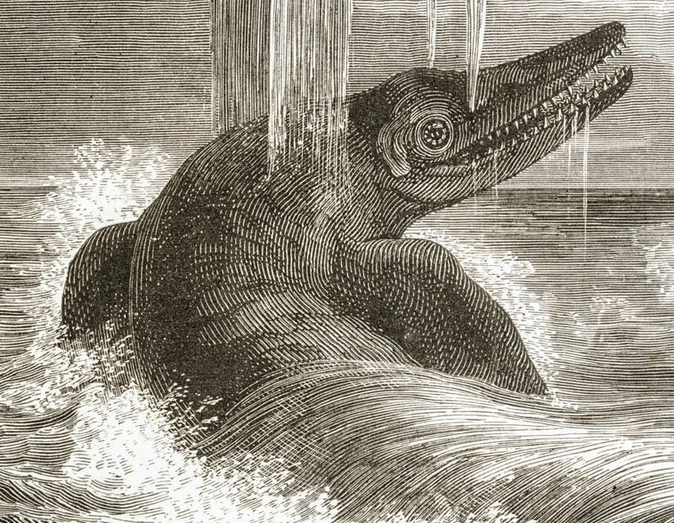 Ichthyosaurus | FictionRulezForever Wiki | Fandom