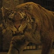 The Legend of the Pevensies | FictionRulezForever Wiki | Fandom