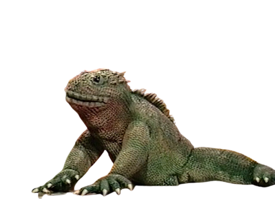 Nico the Iguana | FictionRulezForever Wiki | Fandom