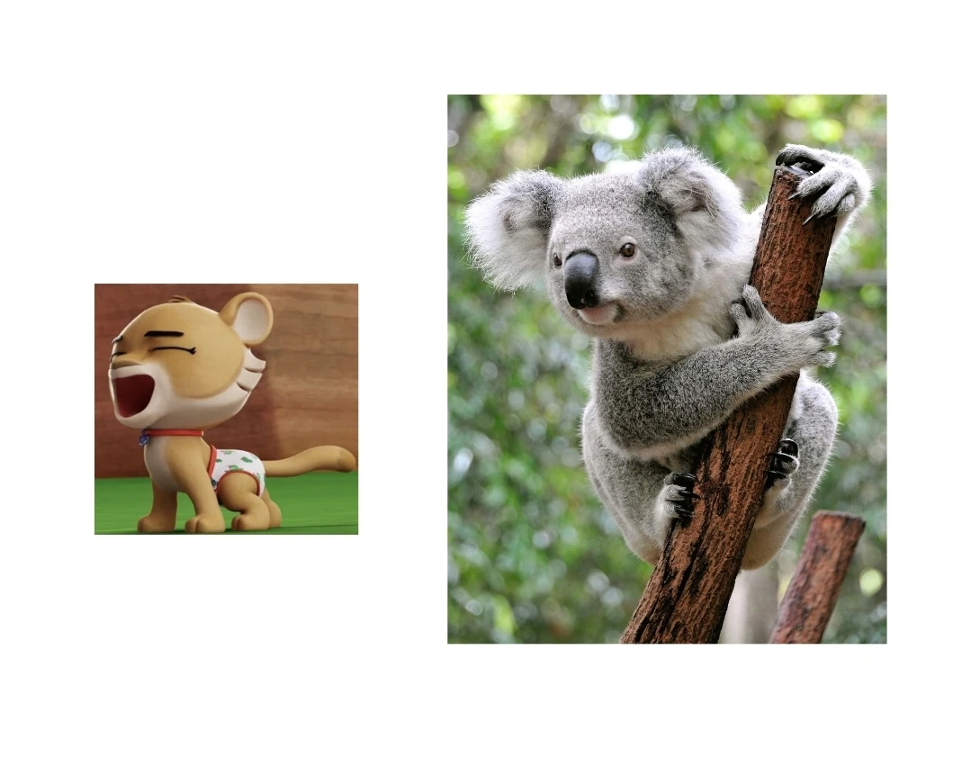 Linus the Lion and his Tampa's Lowry Park Zoo Animal Friends ...