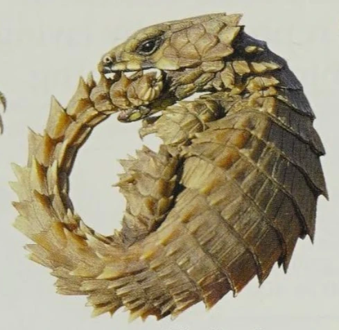 Armadillo Lizard | FictionRulezForever Wiki | Fandom