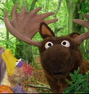 Moose/Gallery | FictionRulezForever Wiki | Fandom