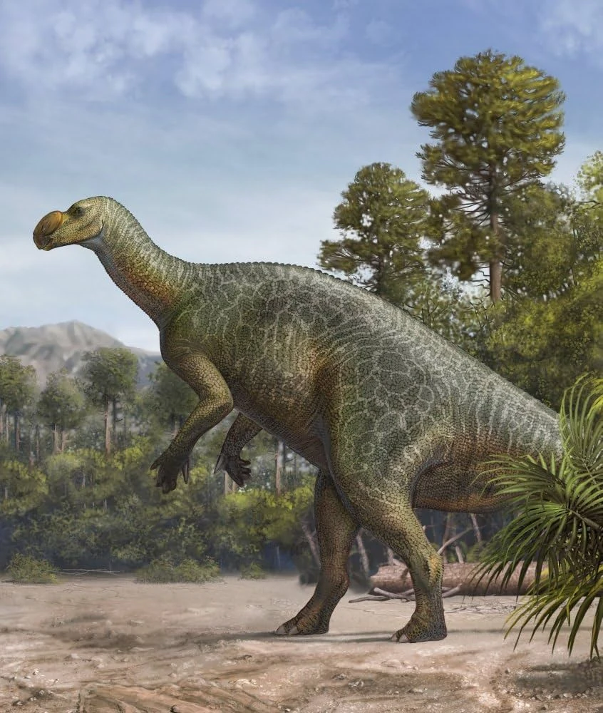 Muttaburrasaurus | FictionRulezForever Wiki | Fandom