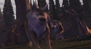 Grey Wolf/Gallery | FictionRulezForever Wiki | Fandom