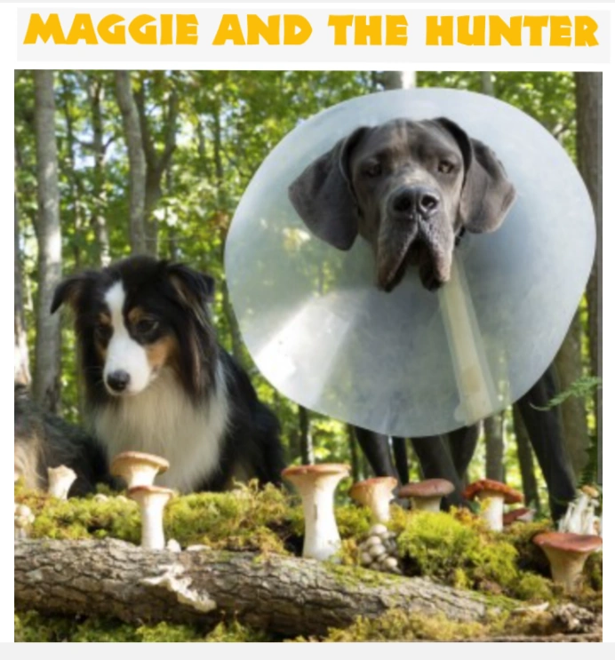 Maggie and the Hunter | FictionRulezForever Wiki | Fandom
