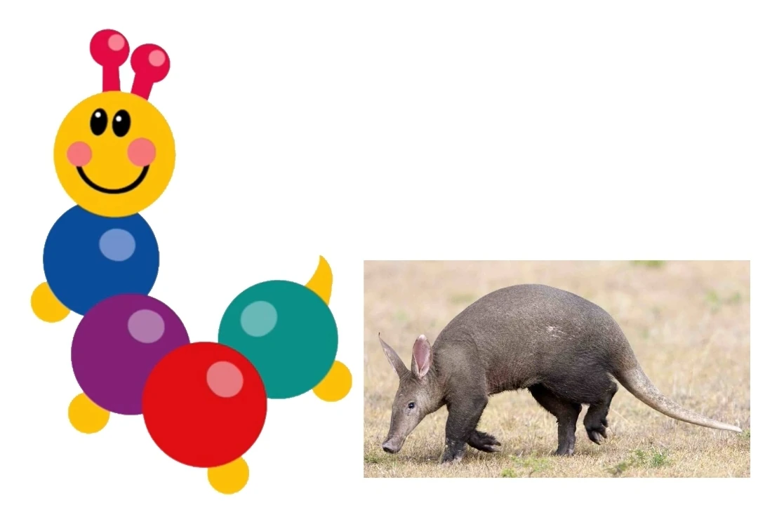 Baby Einstein the Caterpillar and his Animal Friends ...