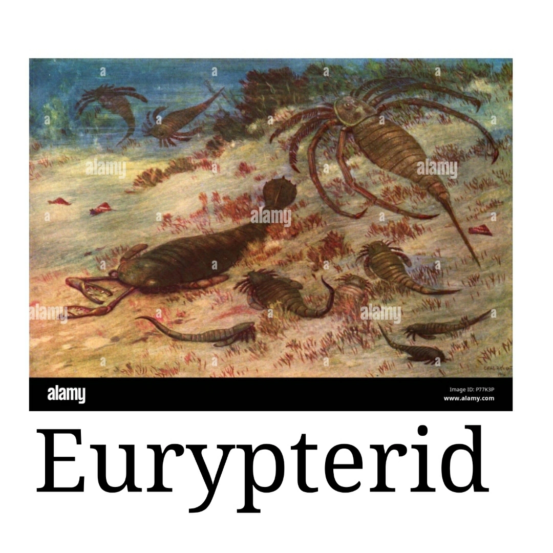 Eurypterid | FictionRulezForever Wiki | Fandom
