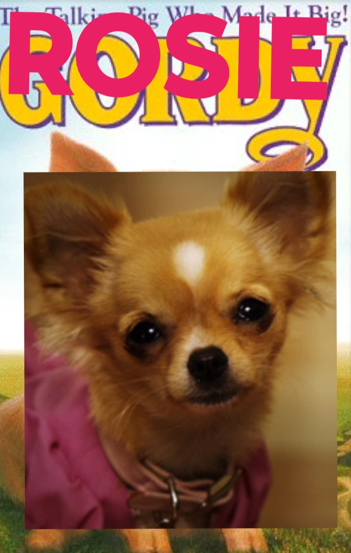 Rosa (Gordy) | FictionRulezForever Wiki | Fandom