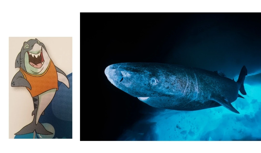 James Fin and his Shark Friends | FictionRulezForever Wiki | Fandom