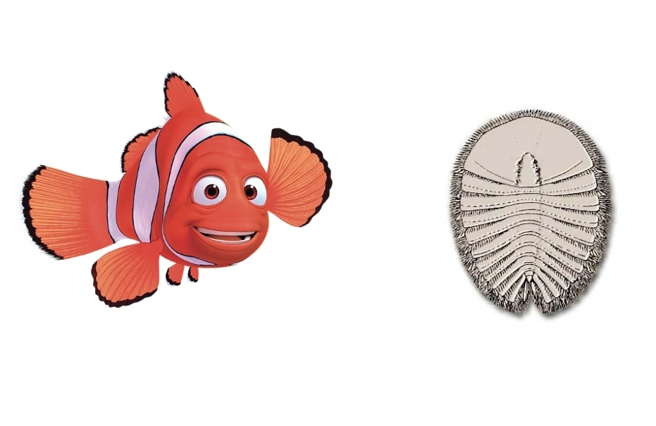 Duslia | FictionRulezForever Wiki | Fandom