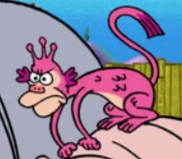 Geoffroy's Spider Monkey | FictionRulezForever Wiki | Fandom