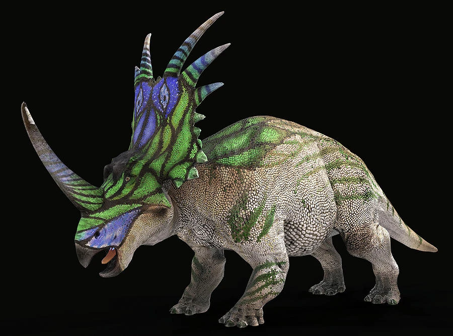 Styracosaurus | FictionRulezForever Wiki | Fandom