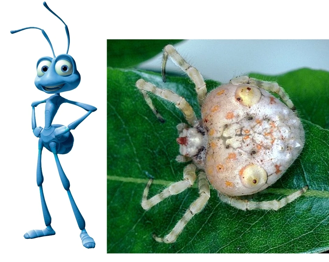 Bolas Spider | FictionRulezForever Wiki | Fandom