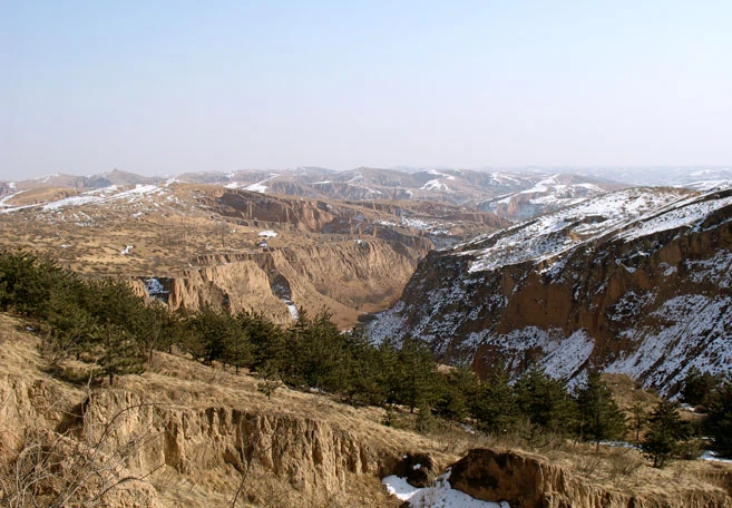 Gajima | Fictspedia Wiki | Fandom