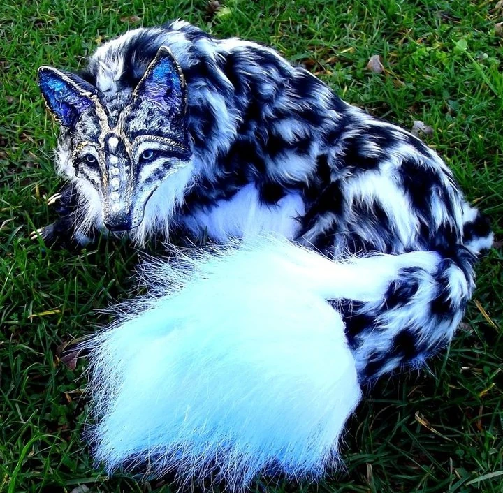 Pictures | Fiery Demons Wiki | Fandom