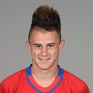 Dejan Dražić | EA Sports FC wiki | Fandom