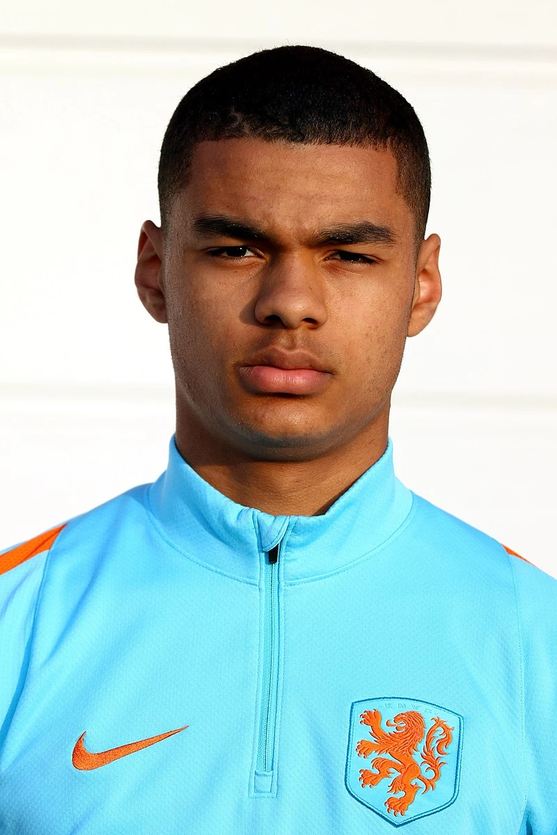 Cody Gakpo | EA Sports FC wiki | Fandom