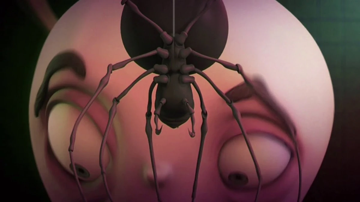 Arachnophobia (Fear of Spiders) | Figaro Pho Wiki | Fandom