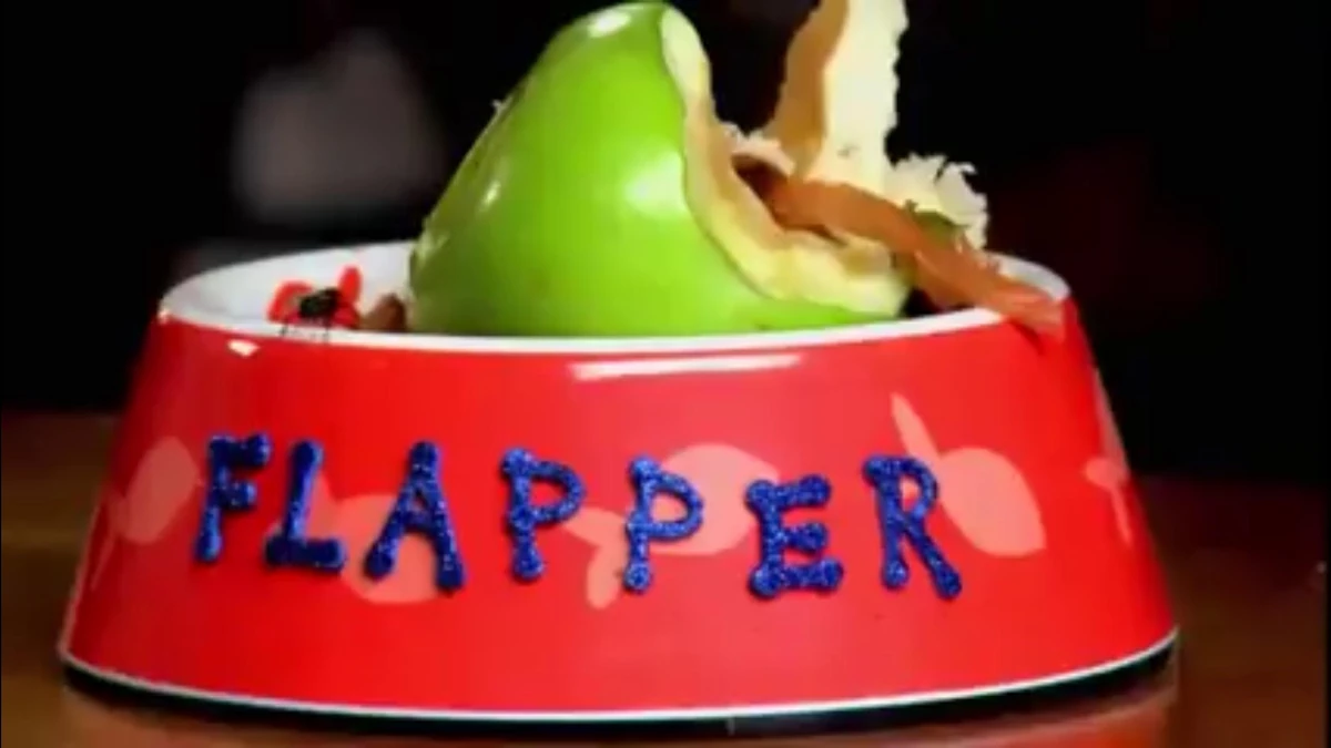 Flapper | Fred Figglehorn Wiki | Fandom