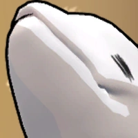 Muscle Beluga | Fight of Animals Wiki | Fandom