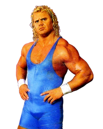 Mr. Perfect | Fight Club Championship Fanom Wiki | Fandom