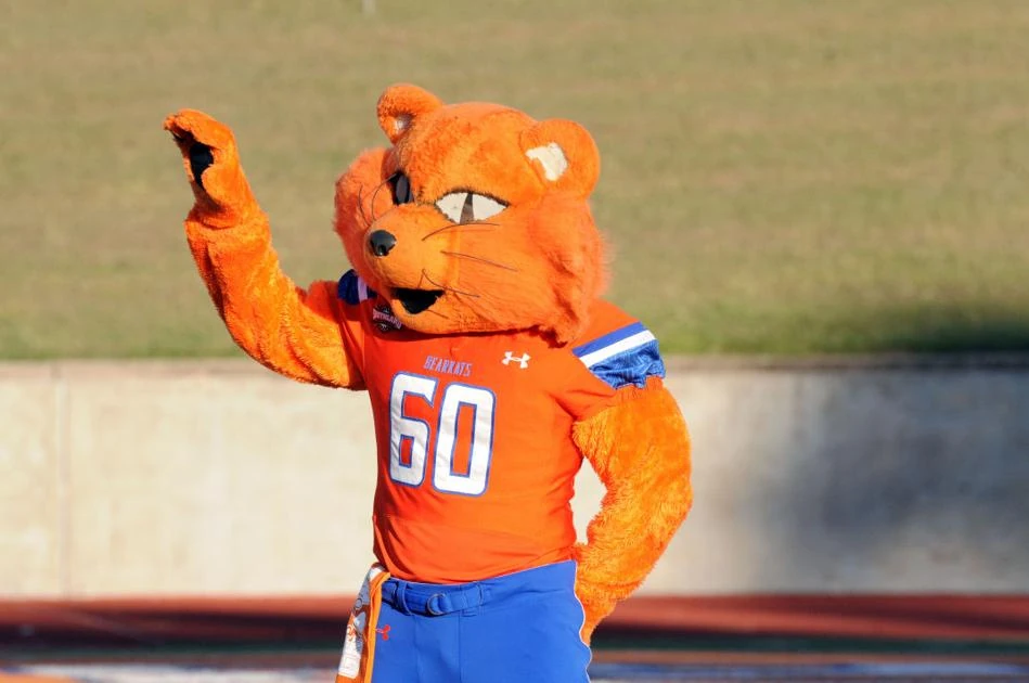 Sammy Bearkat | Fight Club Championship Fanom Wiki | Fandom