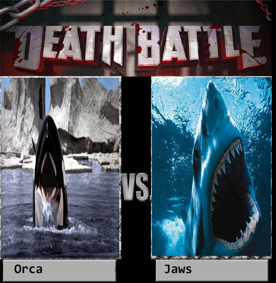 Orca Vs Jaws | Fighters chooser Wiki | Fandom