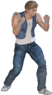 Brawler | Fighters Database Wiki | Fandom