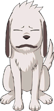 Akamaru | Fighter's Library Wiki | Fandom