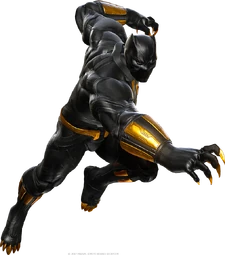 Black Panther | Fighter's Library Wiki | Fandom