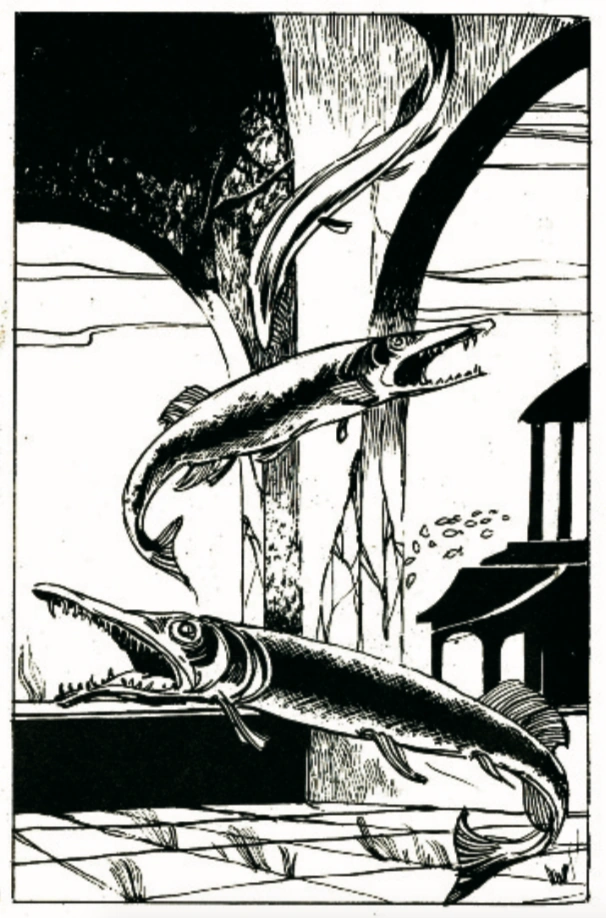 Barracuda | Titannica | Fandom