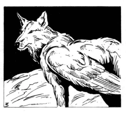 Aakor | Titannica | Fandom