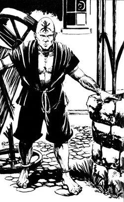 Order of the Scarlet Mantis | Titannica | Fandom