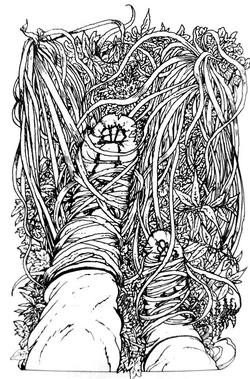 Tangleweed | Titannica | Fandom
