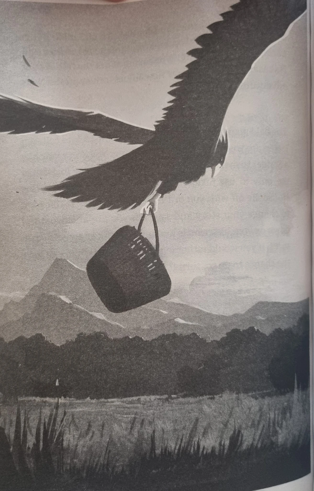 Warhawk | Titannica | Fandom