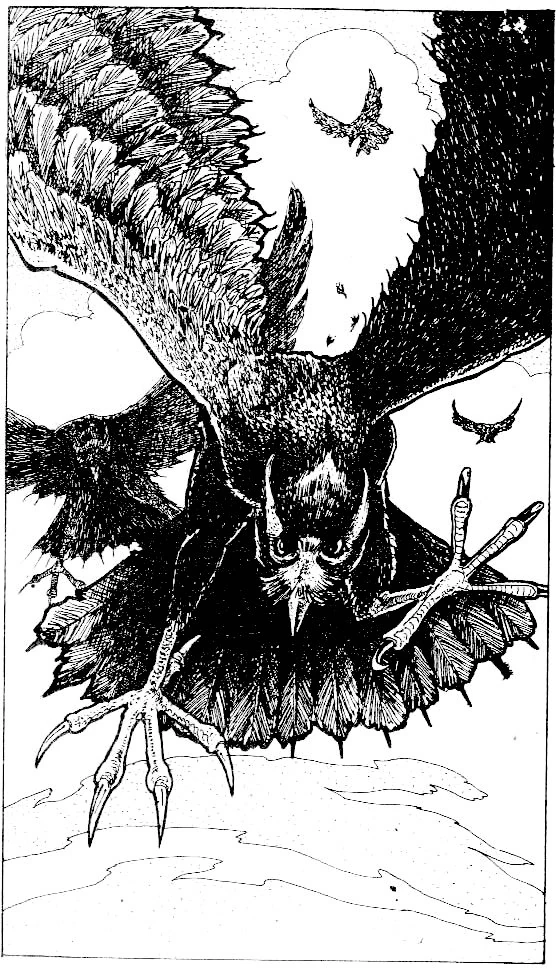 Night Hawk | Titannica | Fandom