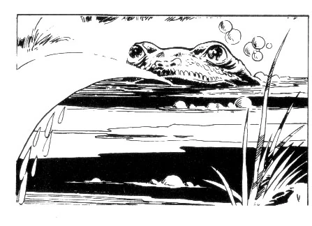 Spit Toad | Titannica | Fandom
